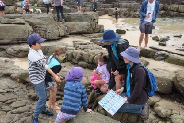 Community Education | Coolum Coast Care